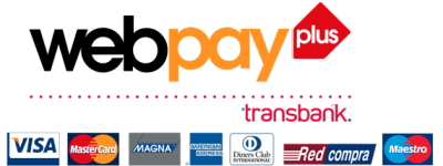 Maqui: El Superalimento Ancestral que Transformará Tu Salud | Mercado ...