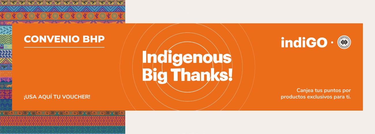 Indigenous Big Thanks | Mercado Mapuche
